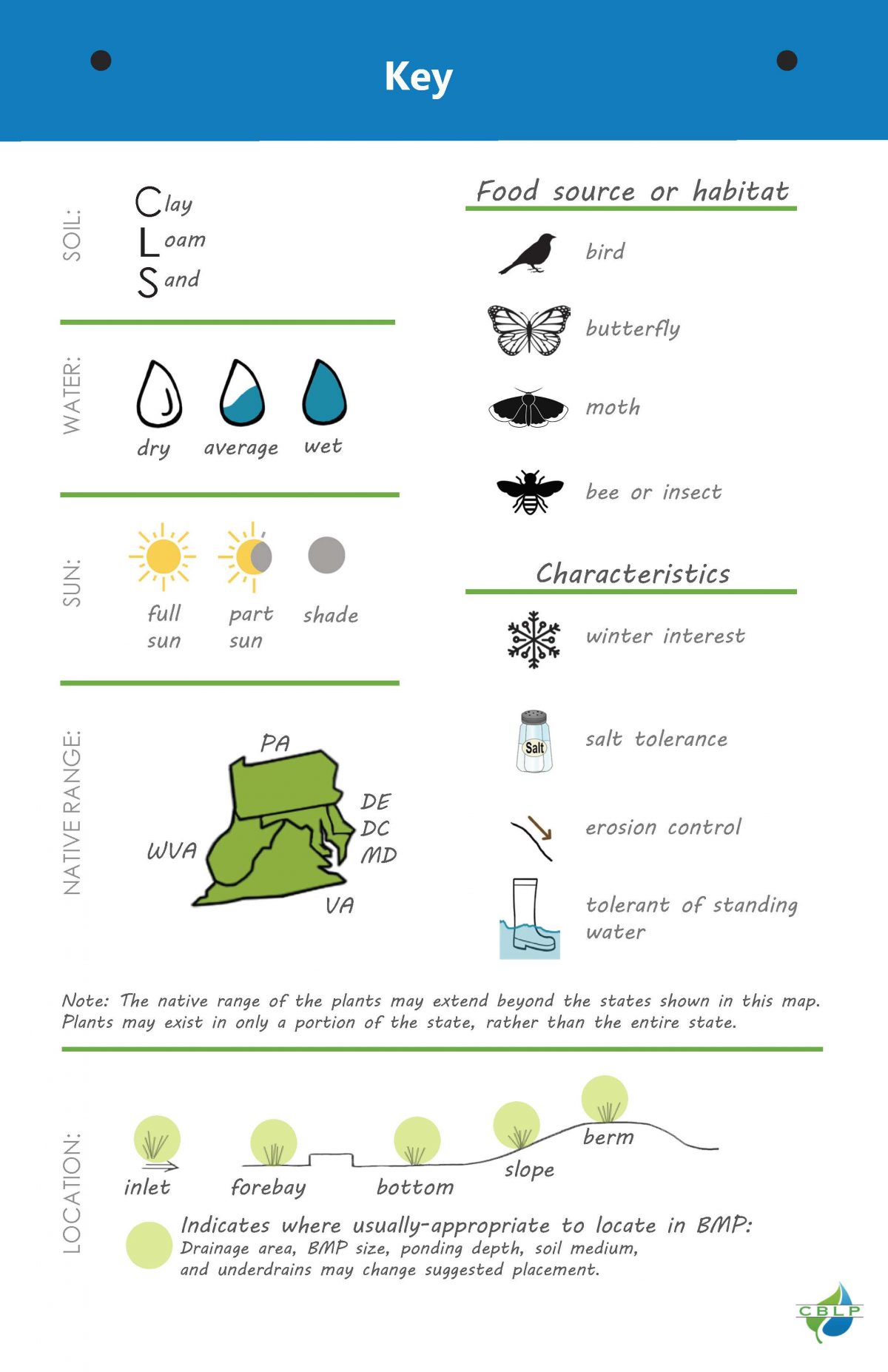 Native Plants for Stormwater Best Management Practices - Chesapeake Bay ...